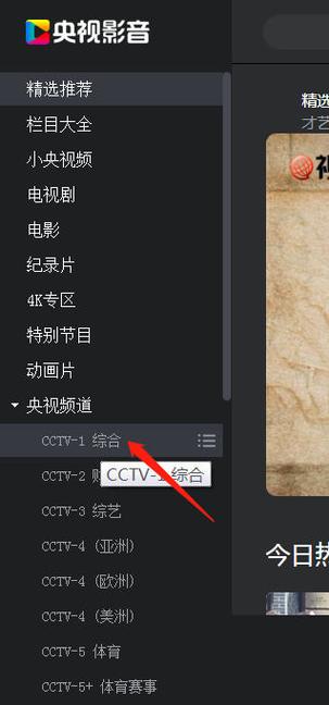 手机央视影音视频怎么导出截图