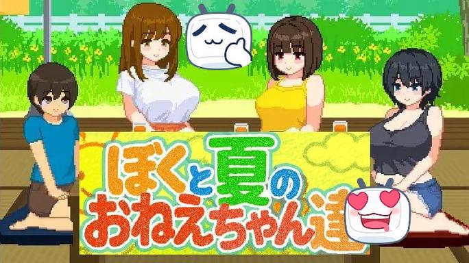 《我和夏天的姐姐们》安装包截图