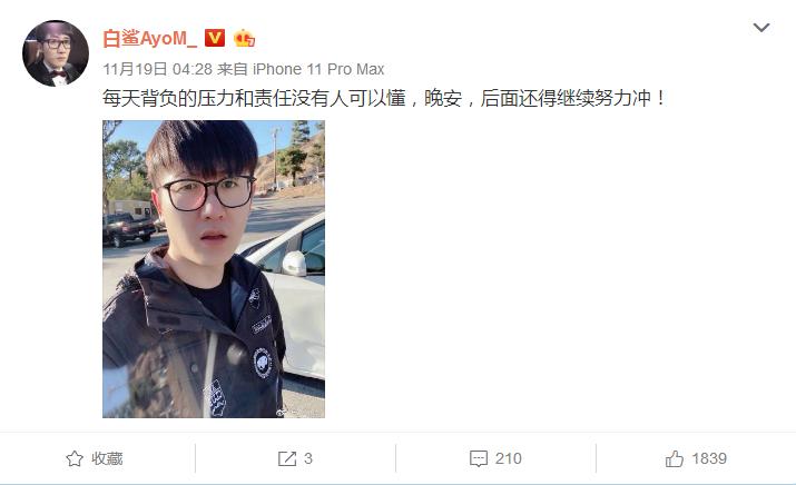 白鲨在哪个平台直播间