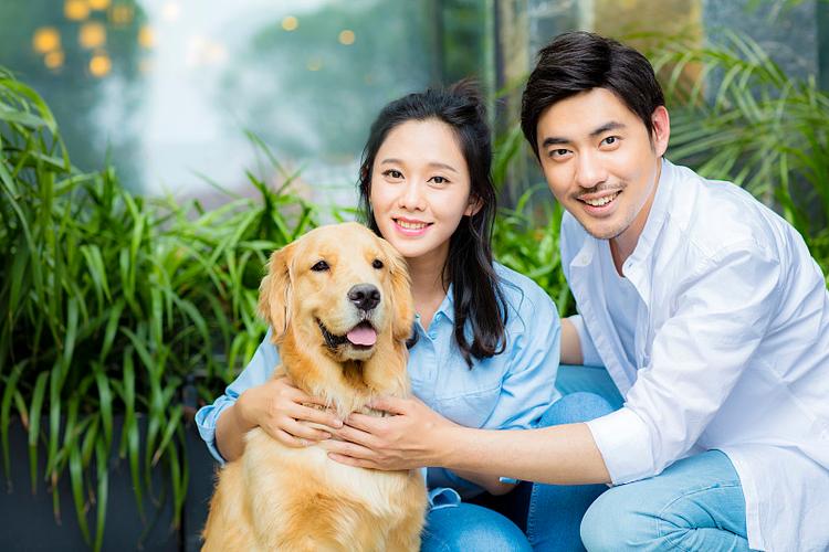 我的世界怎么带走宠物图标