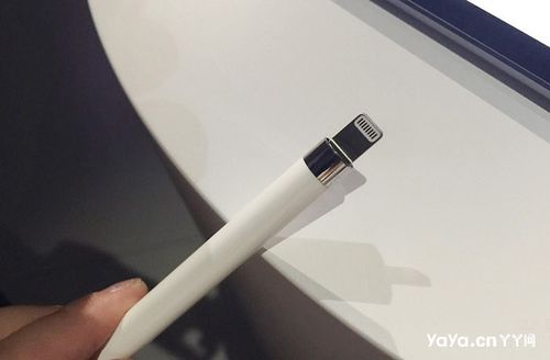 ipad pro是什么接口图标