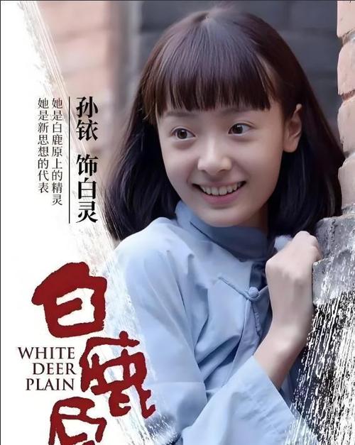 白鹿原演员现状图标