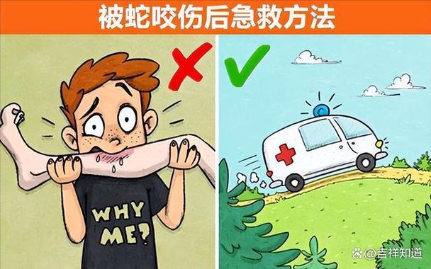 让蛇咬到有什么预兆图标