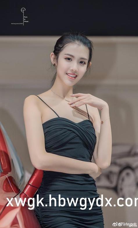 综之繁衍计划图标