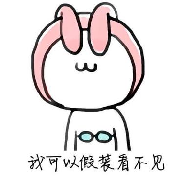 看不见“[动画表情]”图标