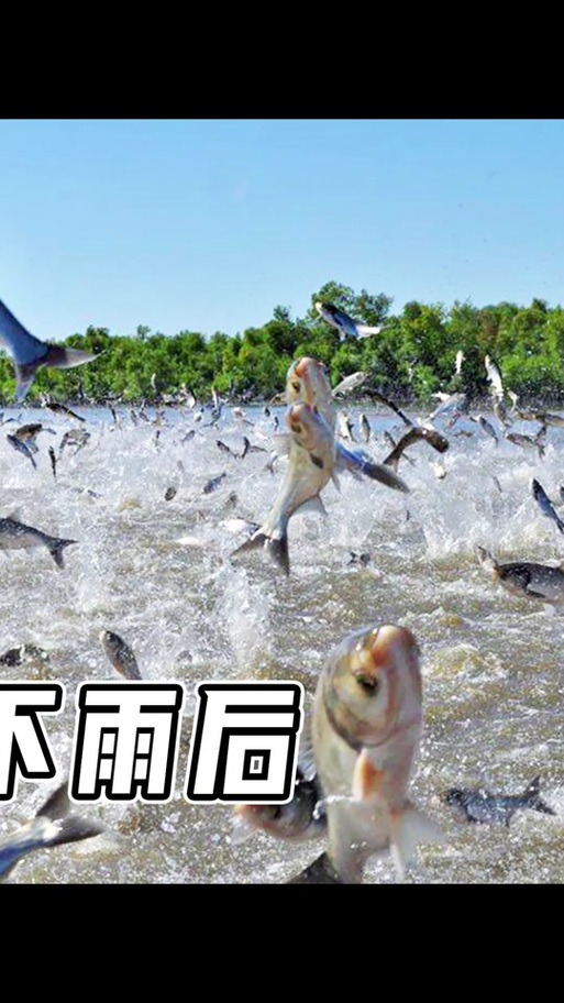 暗区突围AS200飞鱼头图标