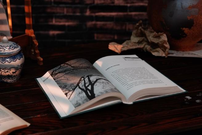 read and read图标