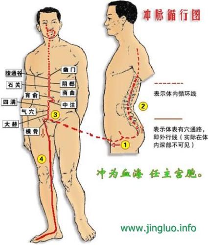 奇经八脉动画演示截图
