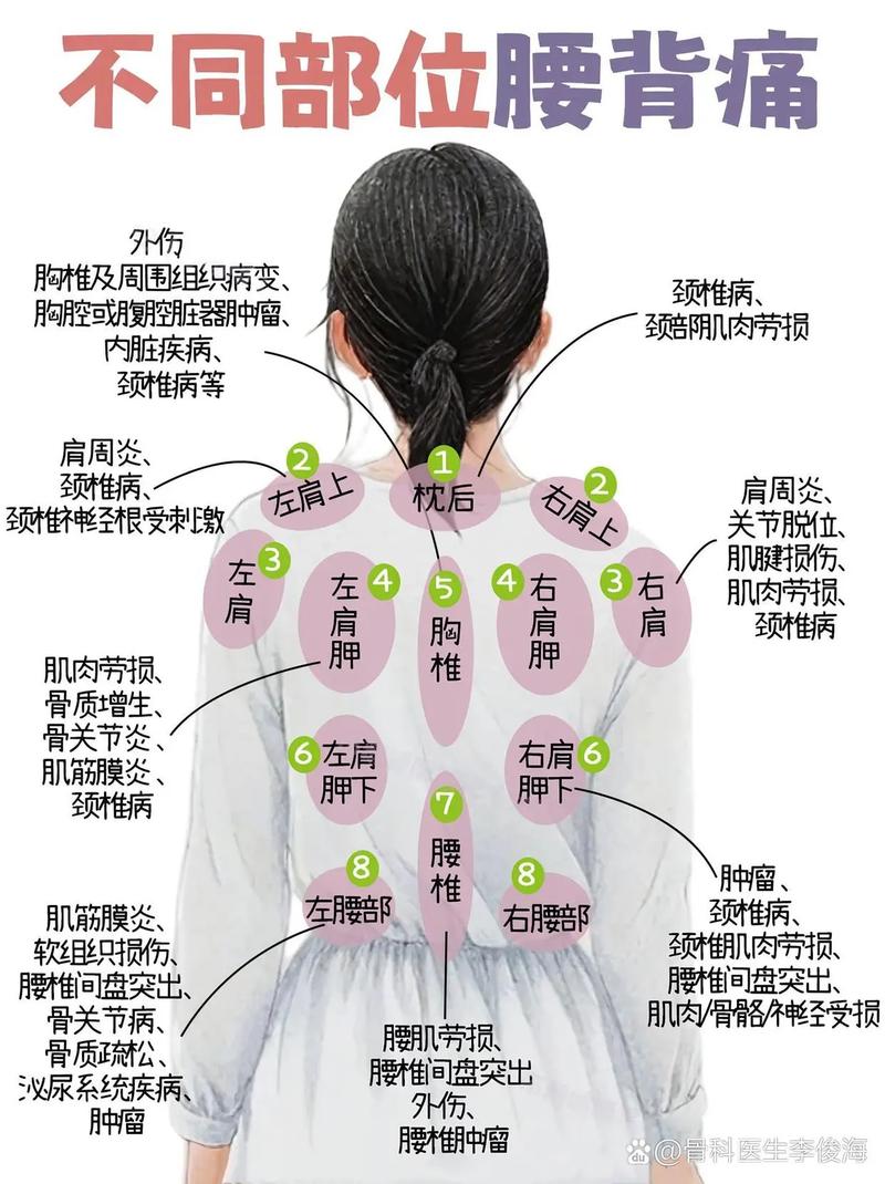 疼痛部位对照表图标
