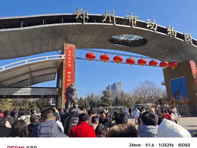 郑州最大动物园在哪建图标