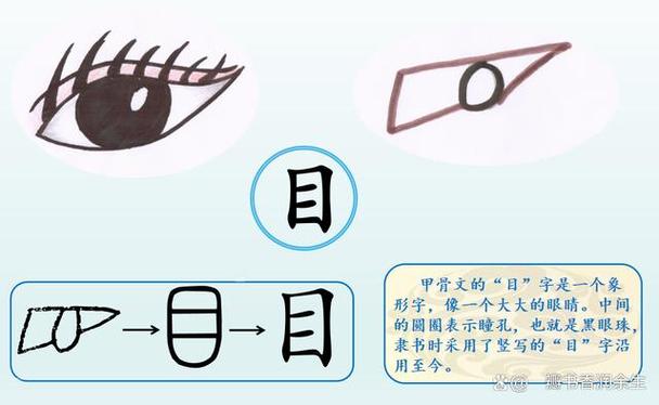 目字下面一个八