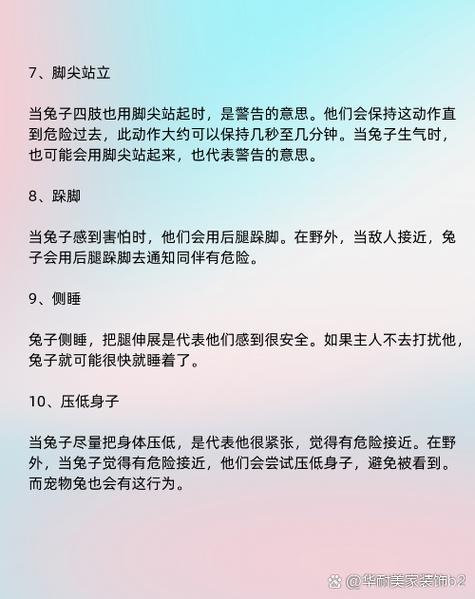 兔子的表现代表什么截图