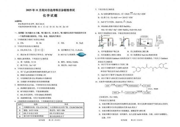 试卷真题网站免费图标