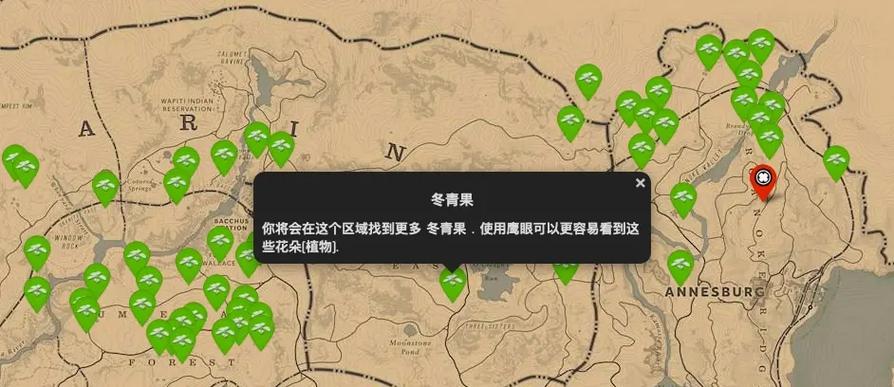 大表哥2沙漠鼠尾草位置