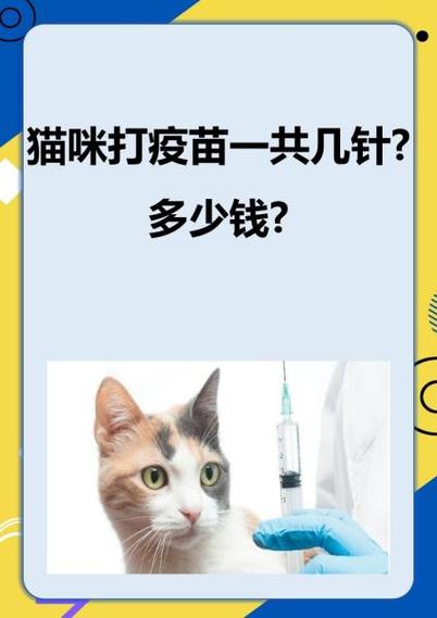 母猫绝育针多少钱一支图标