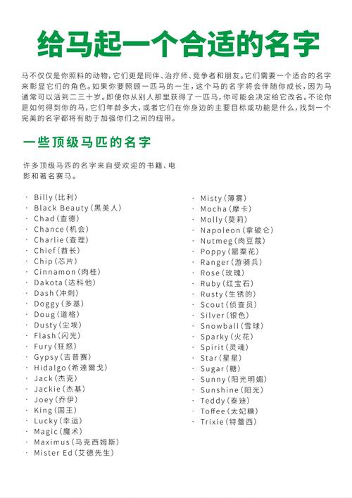 骑马与砍杀steam名字图标