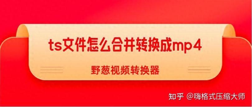 iphone打开ts文件图标