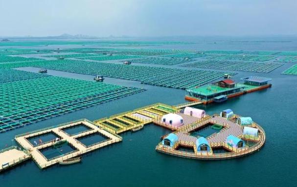 什么是海洋牧场图标