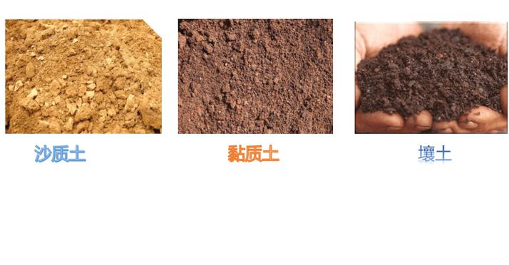 砂子变粘土截图