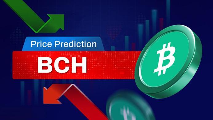 BCH币最新消息图标