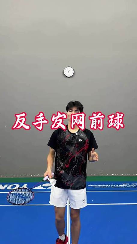 羽毛球发网前球图标