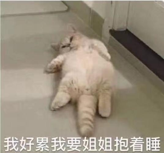 抱着姐姐睡觉图标