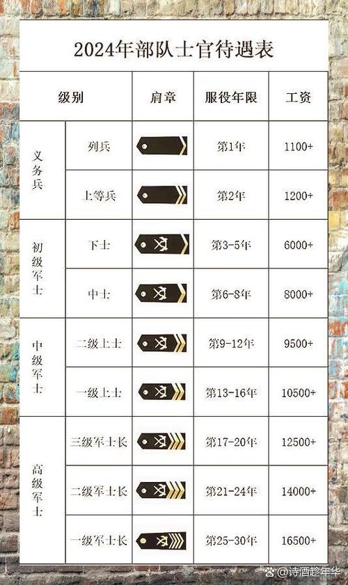 军士级别一览表图标