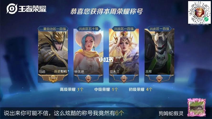 王者省级截图图标