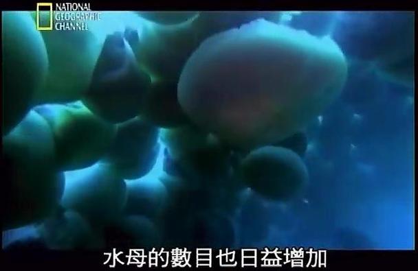 水母入侵截图