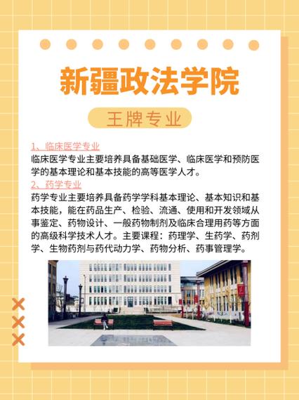 新疆人才网官网图标