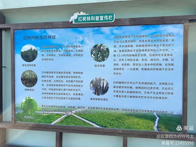 红树林生态公园旅游广告语