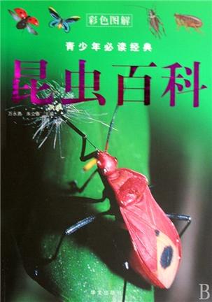 所有昆虫图片和名字图标