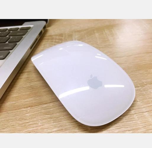 苹果二代鼠标充不进电截图