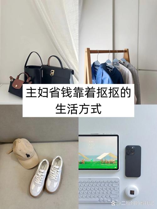 家庭主妇如何省钱图标