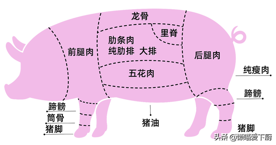 猪扒肉是哪个部位图片图标