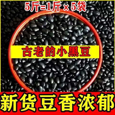 小豆试玩app图标