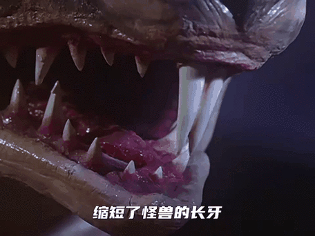 怪兽动物园图标