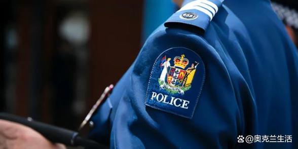 中国新西兰警方合作截图