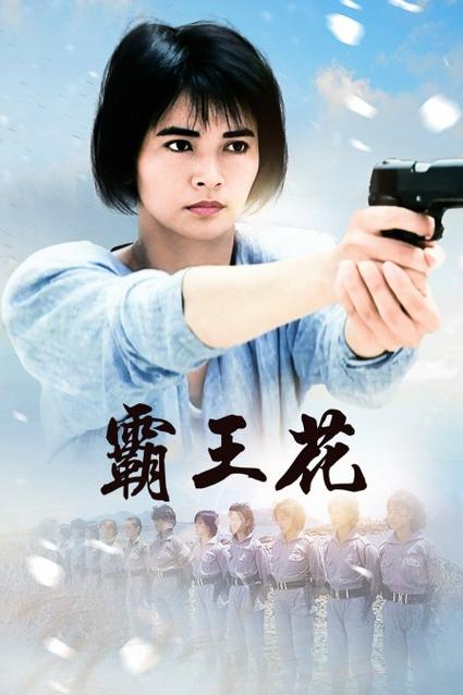 抗日女子霸王花截图
