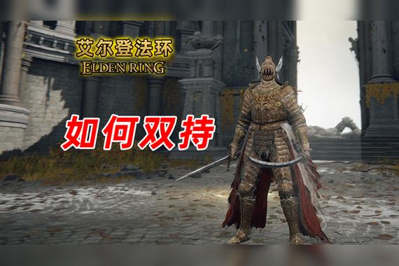 艾尔登法环怎么双持截图