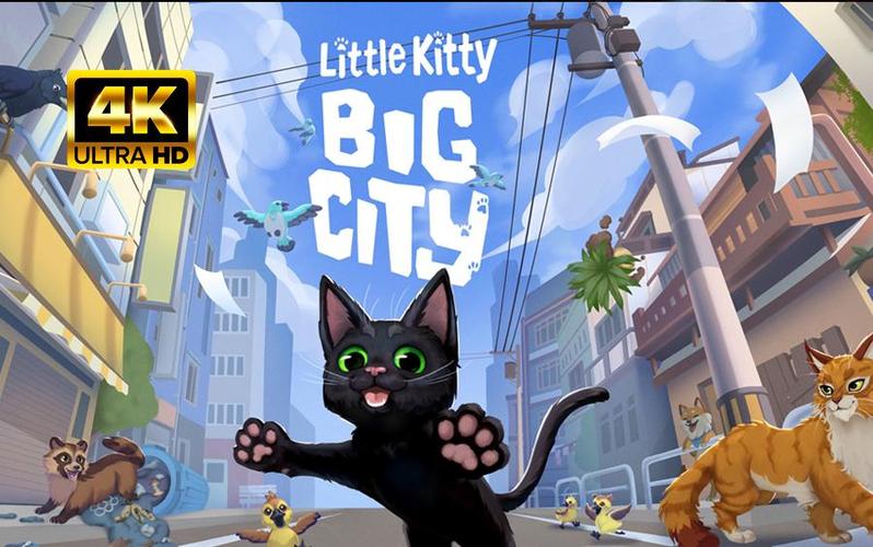 小猫咪大城市免费版截图