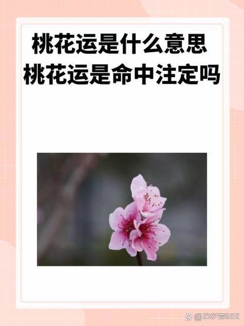 什么是桃花运图标