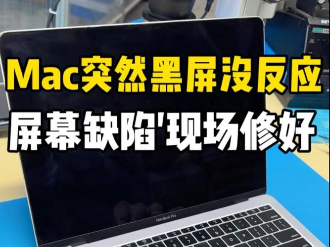 macbookpro突然黑屏截图