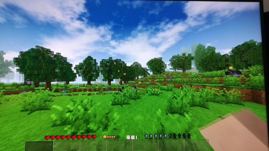 生存战争最终版本