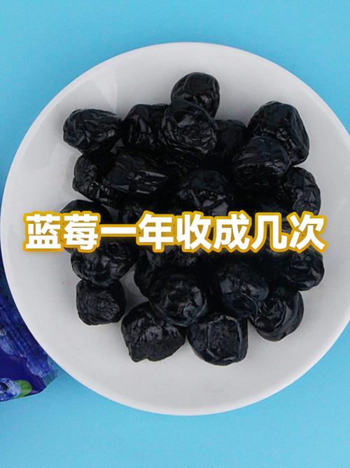 蓝莓常温可以放几天截图
