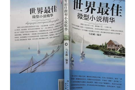 著名微小说图标