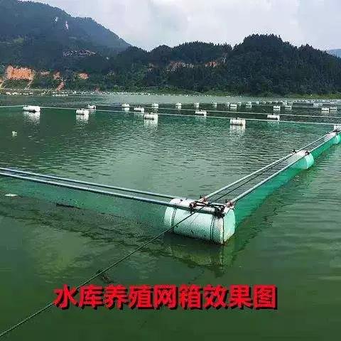 鱼塘网站截图