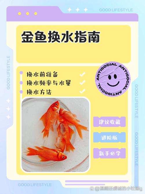 金鱼炸鳞多久会死截图