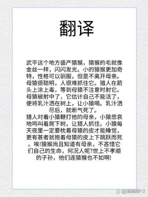 翻译成文言文在线翻译器图标