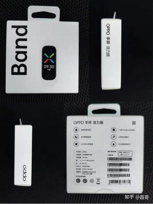 oppo智能手环说明书图标